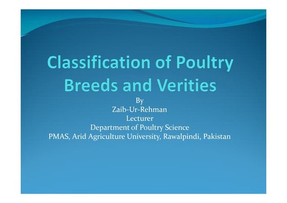 Breeds of duck | PPT