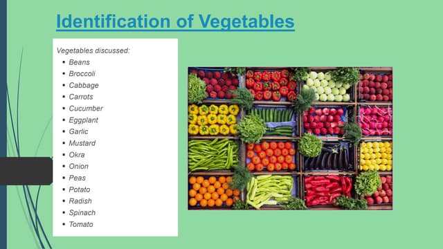 seed dispersal by explosive action | PPTX