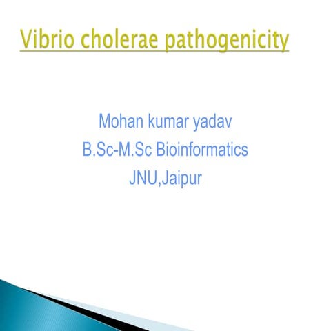 Identification of vibrio cholerae pathogenicity | PPT