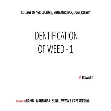 Identification of weed 1 | PDF