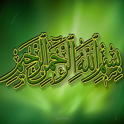 Identification of weeds in Pakistan by M.Anees Khan | PPTX