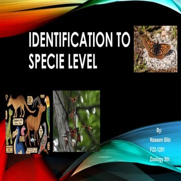 Introduction to Identification | PPT