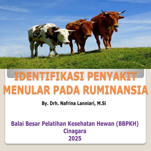 Identifikasi Penyakit Hewan Menular Ruminansia | PDF