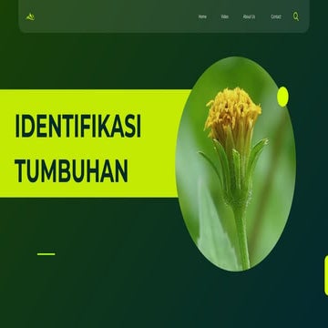 Laporan praktikum 3 tata letak daun rumus daun dan diagram daun ...