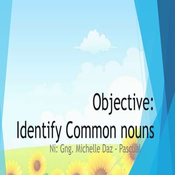 Identify Common nouns.pptx