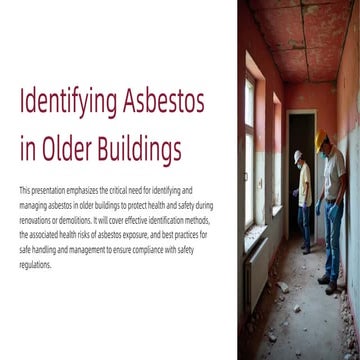 Identifying Asbestos in Older Buildings: How to Detect and Manage It ...