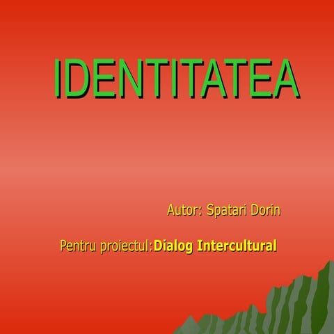 Identitatea | PPT