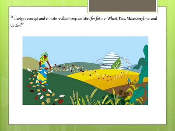 Rouging and its significance | PDF