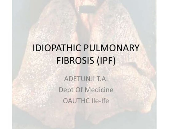 New Study Reveals Insights into Pulmonary Fibrosis (PF) Development | The Lifesciences Magazine ...