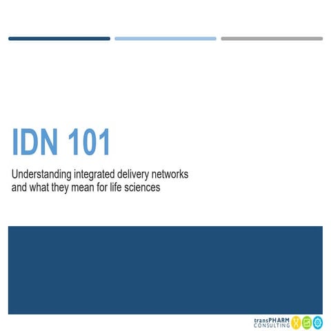 IDN 101 | PDF