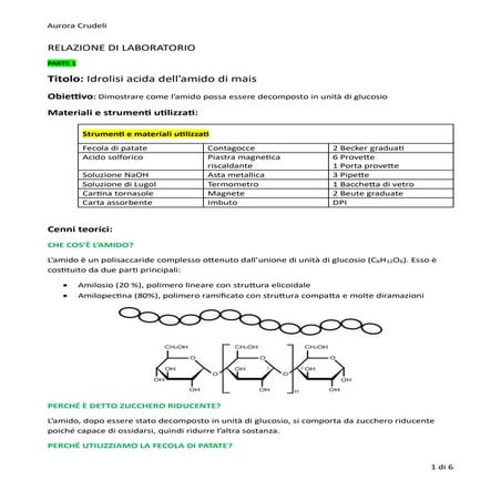 Idrolisi dell’amidooooooooooooooooooo.pdf