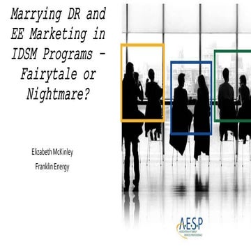 Marrying DR and EE Marketing in iDSM Programs: Fairytale or Nightmare ...