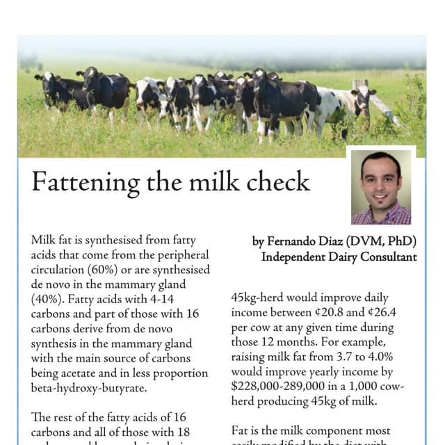Fattening the milk check | PDF