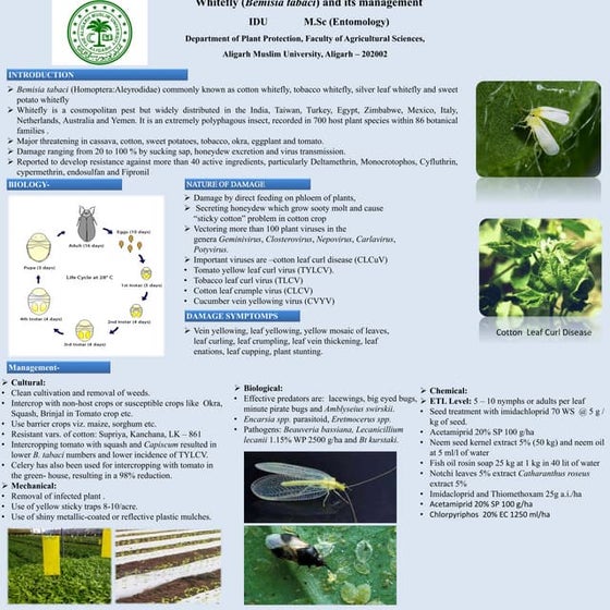 SPIRALLING WHITEFLY | PDF