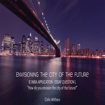 IE IMBA Application Essay - Question L | PDF