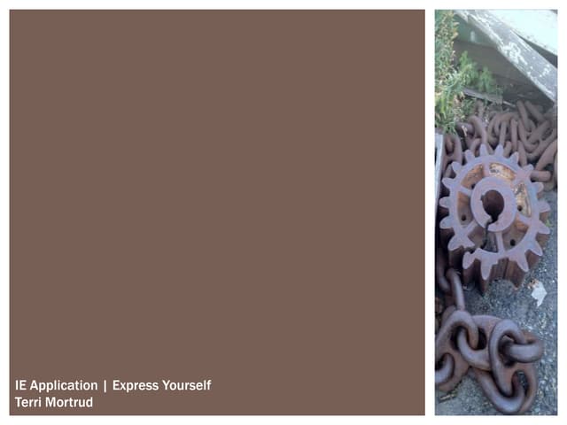 Ie Application Express Yourself Ppt