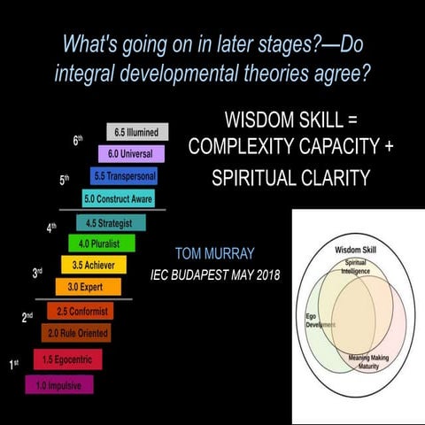 What's going on in later stages?—Do integral developmental theories ...