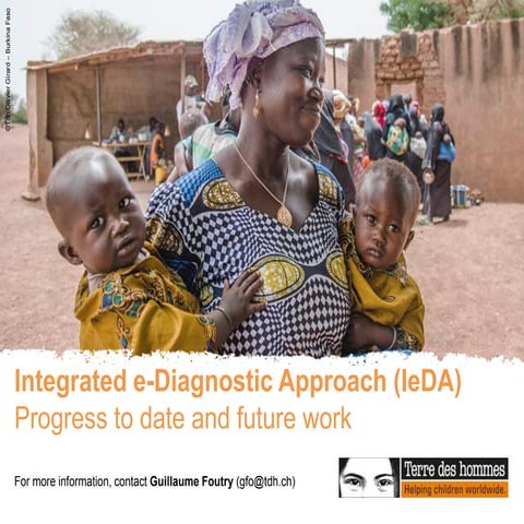 IeDA Progress to Date and Future Work (Terre des Hommes)_DH Subgroup ...