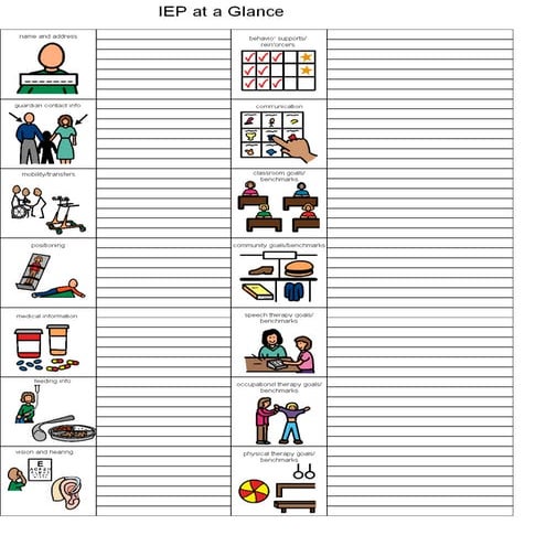 Iep At A Glance | PDF