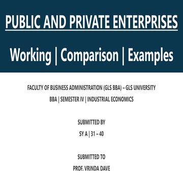 Public and Private Enterprises | PPT