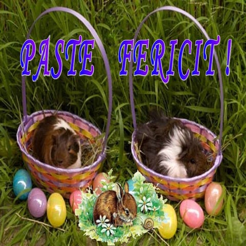 Happy Easter - Paste fericit! | PPS