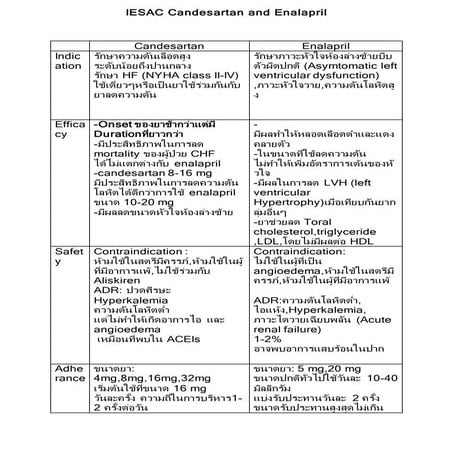 IESAC | DOCX