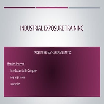 Industrial Exposure Training Project PPT.pptx