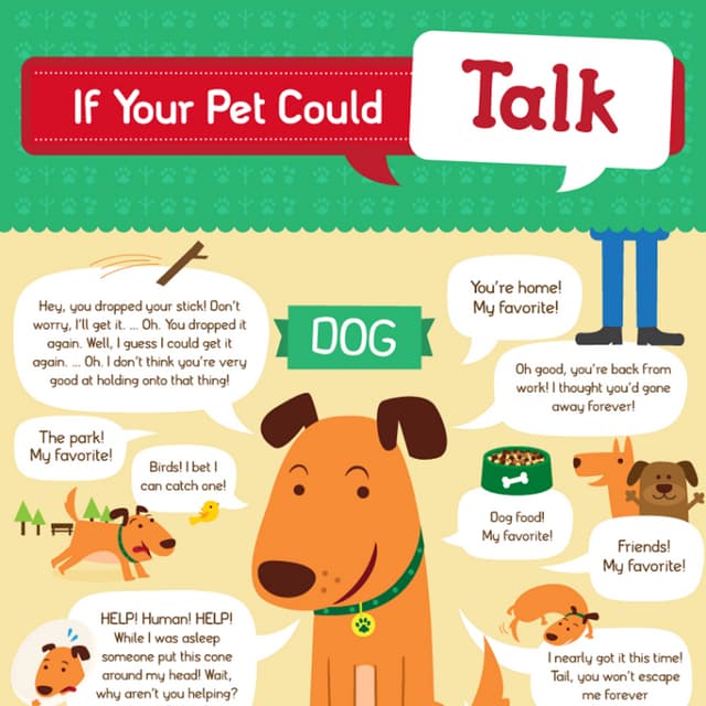 If Your Pet Could Talk | PDF