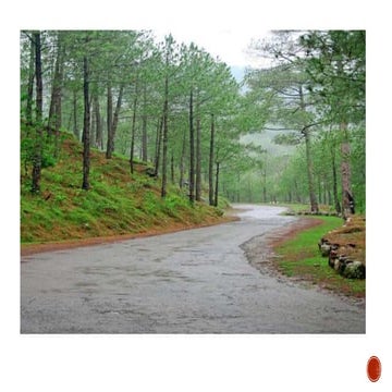 Indian forest act, 1927 ppt notes and sections | PDF