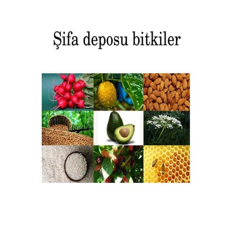 şifalı bitkiler | PPT