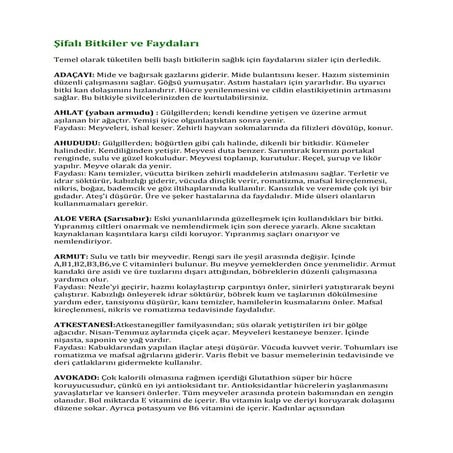 şIfalı bitkiler ve faydaları | DOCX