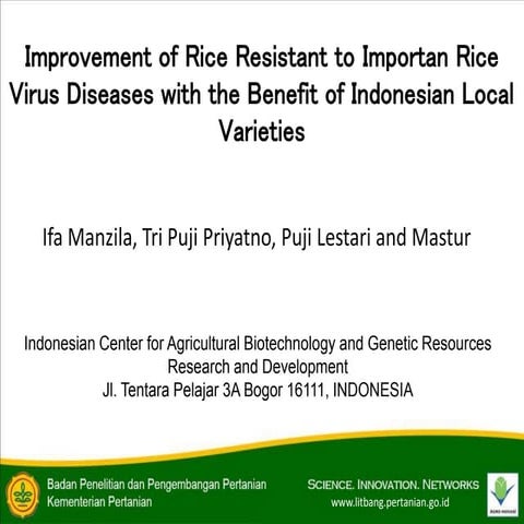 The Tungro Virus: Rice's Invisible Enemy | PPTX