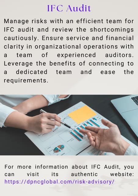 Stock Audit | PDF