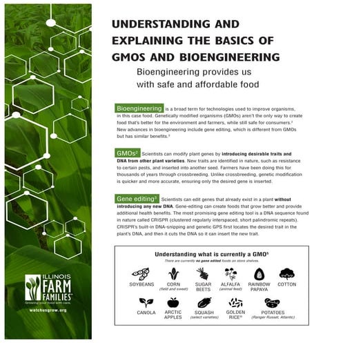 Bioengineering Fact Sheet | PDF