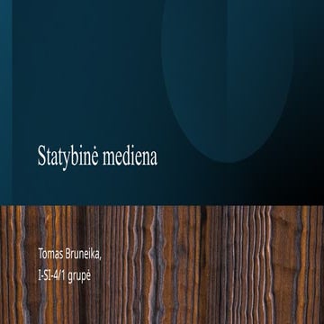 IF Mediena Tomas Bruneika I-SI-4/1 Skaidrės | PPTX