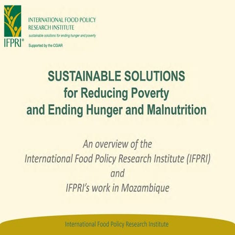 Ifpri in-mozambique overview | PDF | Agriculture | Industries