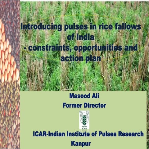IFPR - Introducing Pulses in the Rice-Fallow areas - Mapping ...