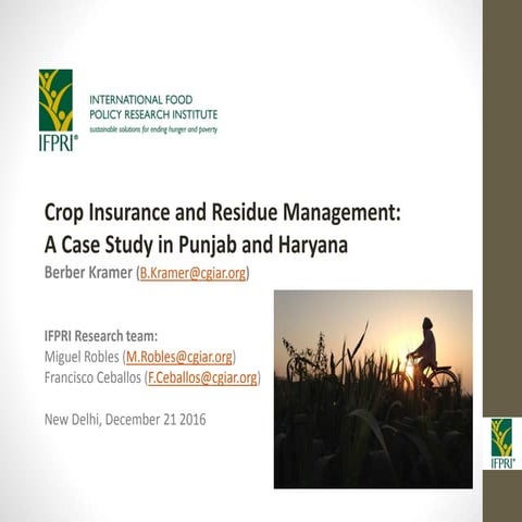 IFPRI-Linking Insurance to paddy residue management-Berber Kramer | PPT