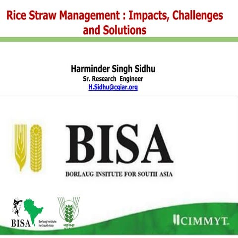 IFPRI-Paddy residue management-Dr HS Sidhu | PDF
