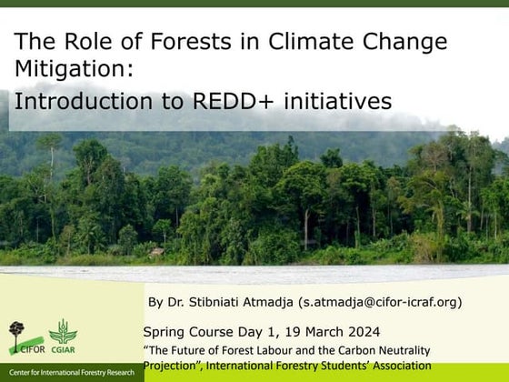 The global landscape of projects to reduce emissions from deforestation ...