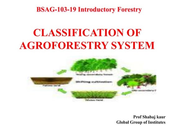 System of planting and types | PPTX | Gardening | Home & Garden