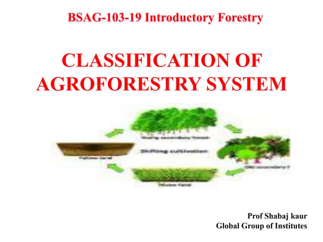 System of planting and types | PPTX
