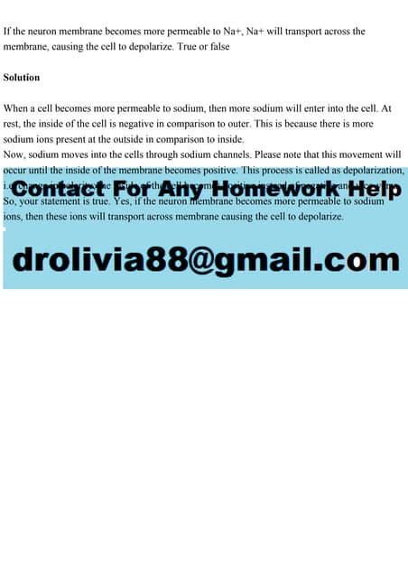 What is special about the skulls of LagomorphsSagittal crestThe.pdf