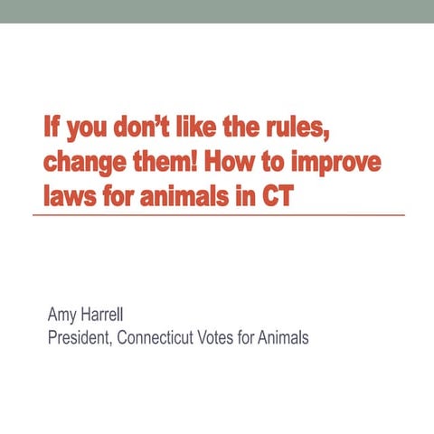 Virginia Chipurnoi - President of a Renowned Animal Welfare ...