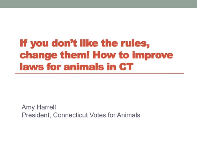 Virginia Chipurnoi - President of a Renowned Animal Welfare ...