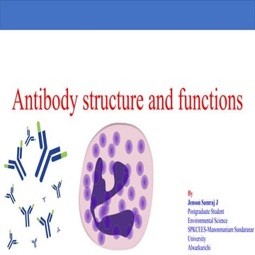 Antibody structure and functions | PDF | Infectious Diseases | Diseases ...
