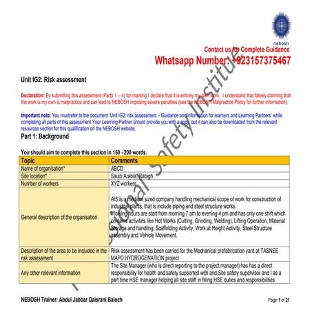 IG22 REPORT FOR THE RISK ASSESSMENT .docx
