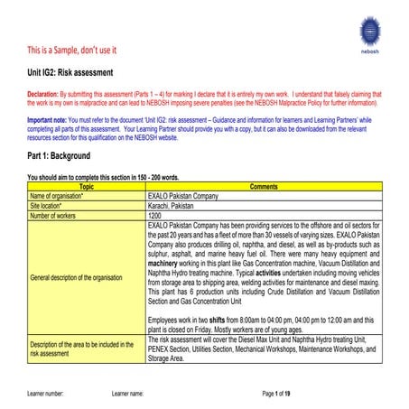 IG2 Risk Assessment.for any copany .docx