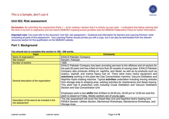 IG2 Risk Assessment.for any copany .docx | Medical Health
