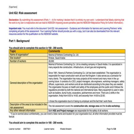 IG2 Risk Assessment.for any copany .docx